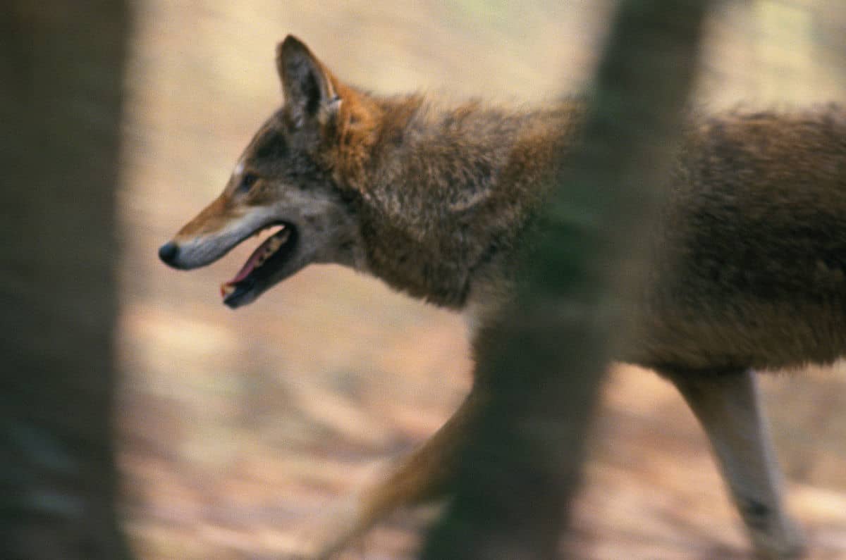 Top OBX Sites to Visit for Nature Photography - SAGA Realty & Construction